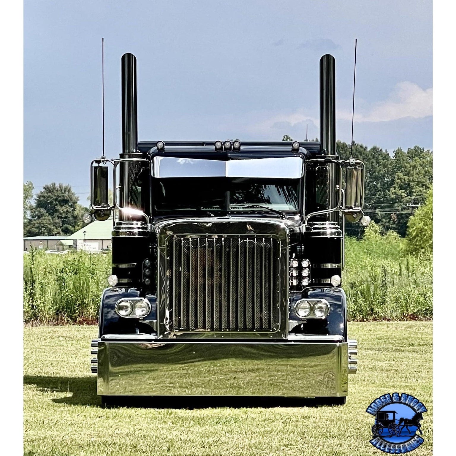 Horse And Buggy Accessories - The Chrome Shop — Horse & Buggy Accessories